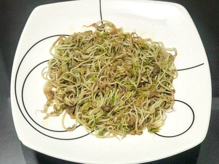 How To Grow Mung Bean, Alfalfa, and Broccoli Sprouts? (It's Dead Easy)