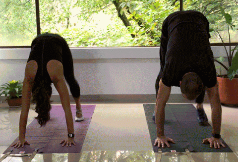 Bodyweight Workout Plan (PDF): GIFs of the 70 Best Exercises