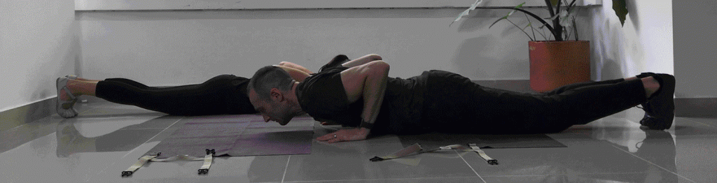 Bodyweight Workout Plan (PDF): GIFs of the 70 Best Exercises