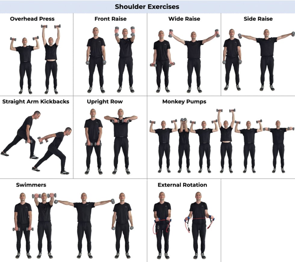 12-Week Gym Workout Program for Beginners PDF (Calendar & Pictures)