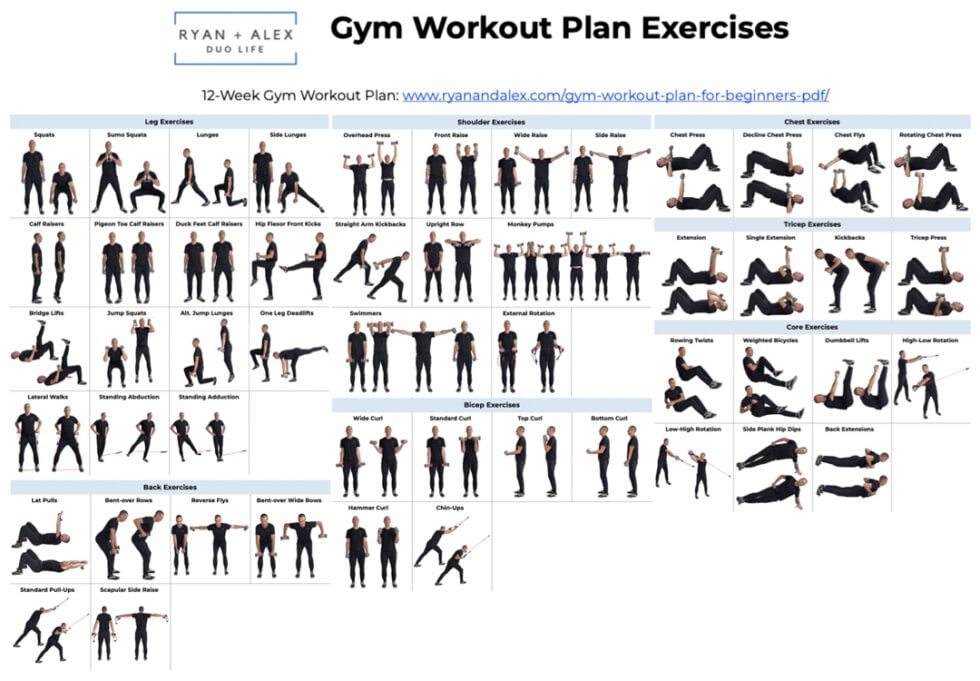 12-Week Gym Workout Program for Beginners PDF (Calendar & Pictures)