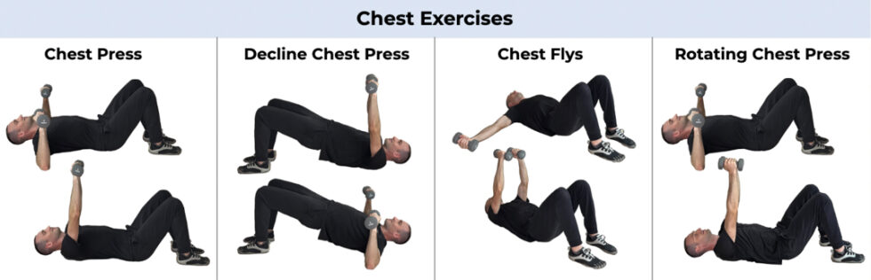 12-Week Gym Workout Program for Beginners PDF (Calendar & Pictures)