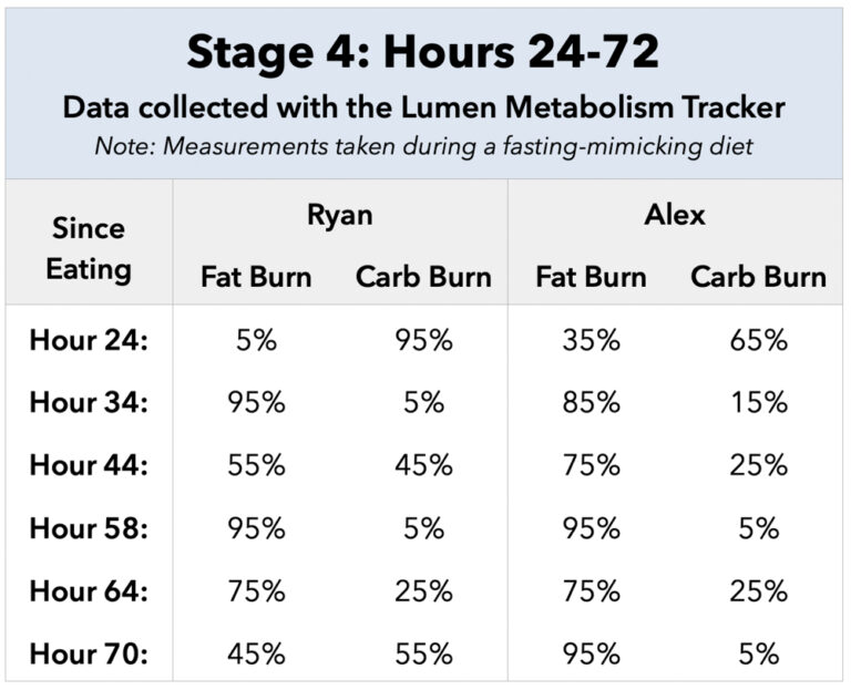 5 Stages of Fasting by Hour According to Our Metabolic Data
